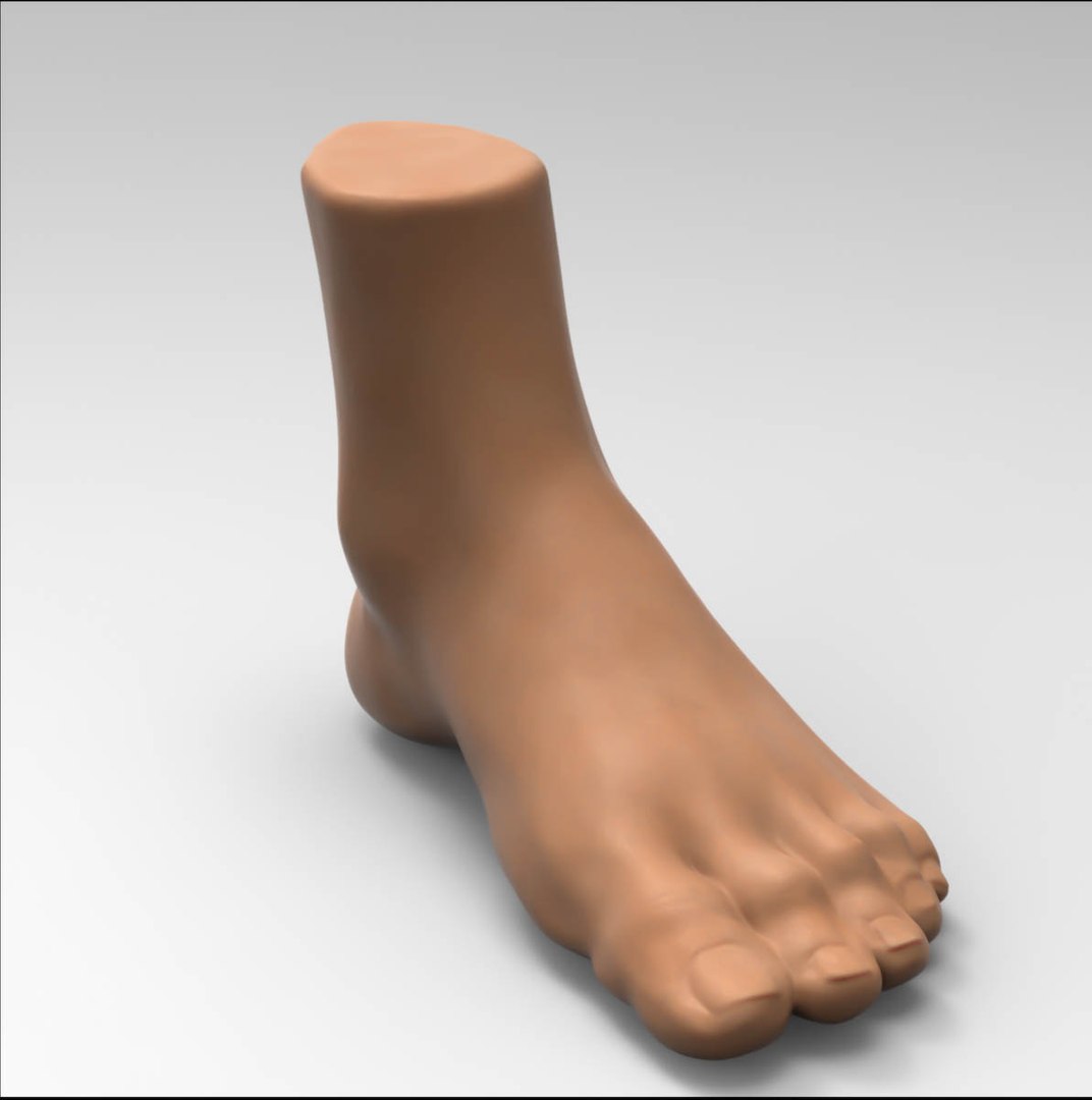 3D model foot - TurboSquid 1378355
