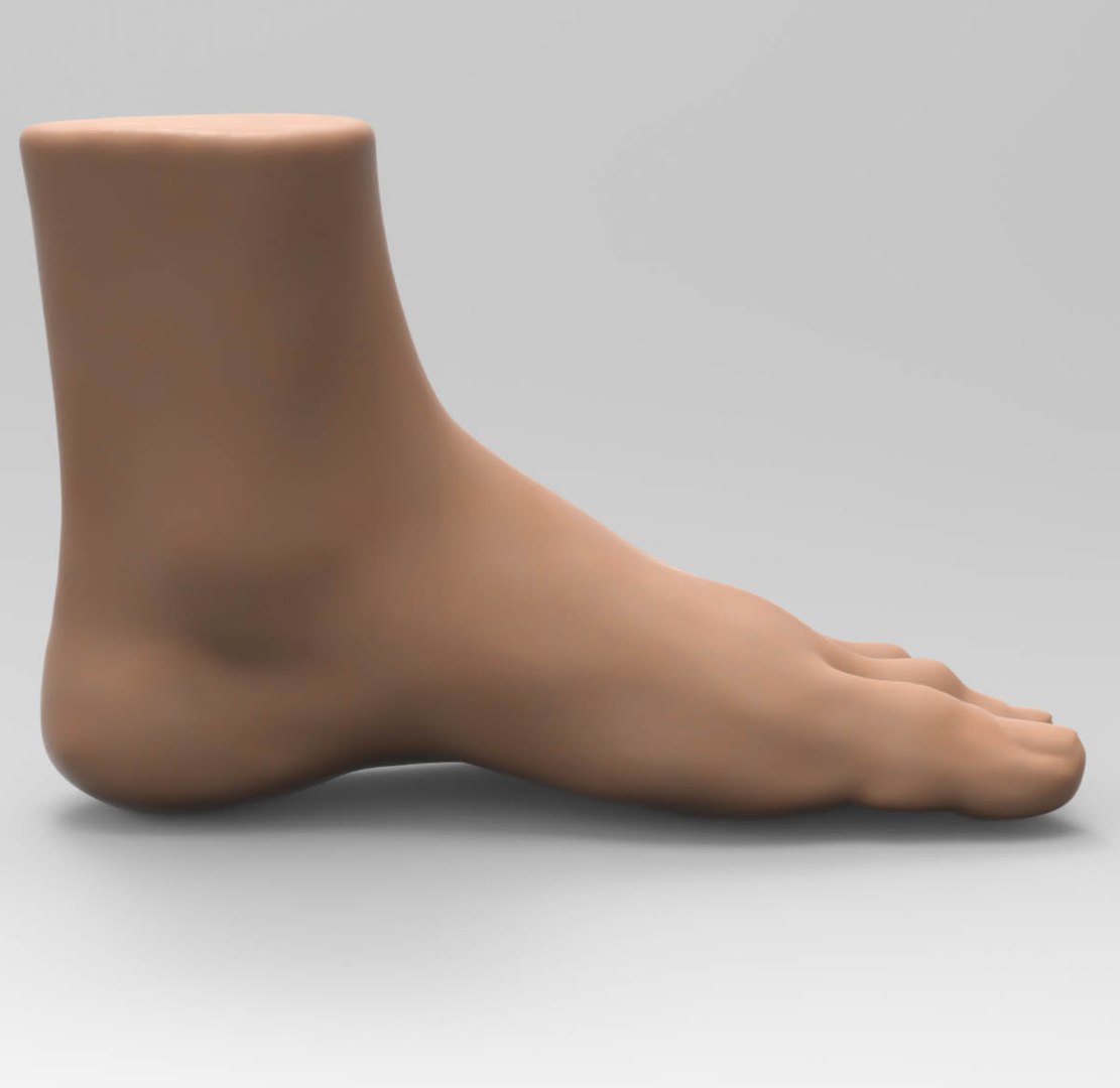 3D model foot - TurboSquid 1378355
