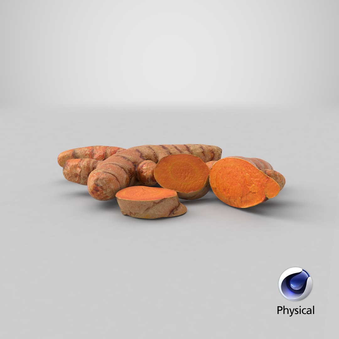 3D Turmeric Root V1 Model - TurboSquid 1863691