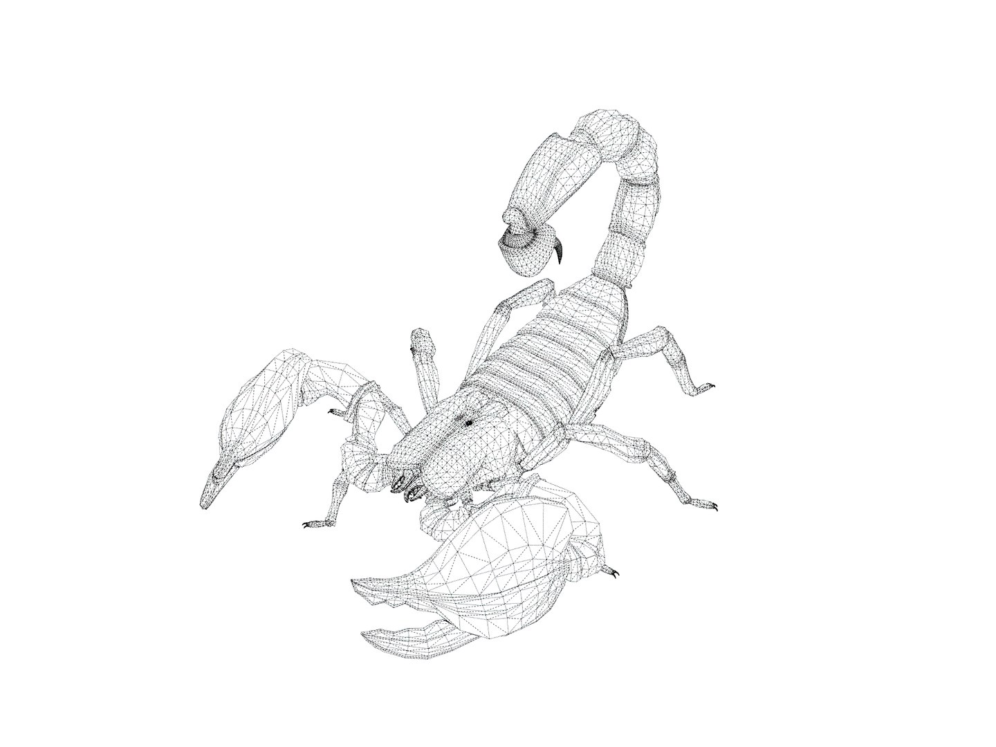 Scorpion Model - TurboSquid 2072874