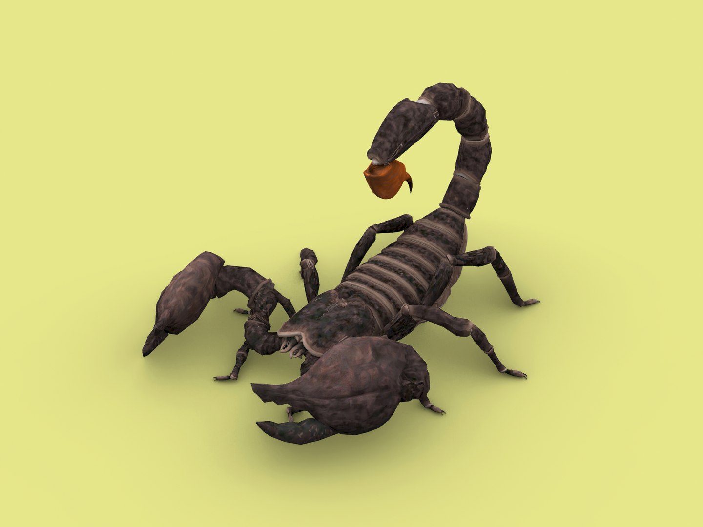 Scorpion Model - TurboSquid 2072874