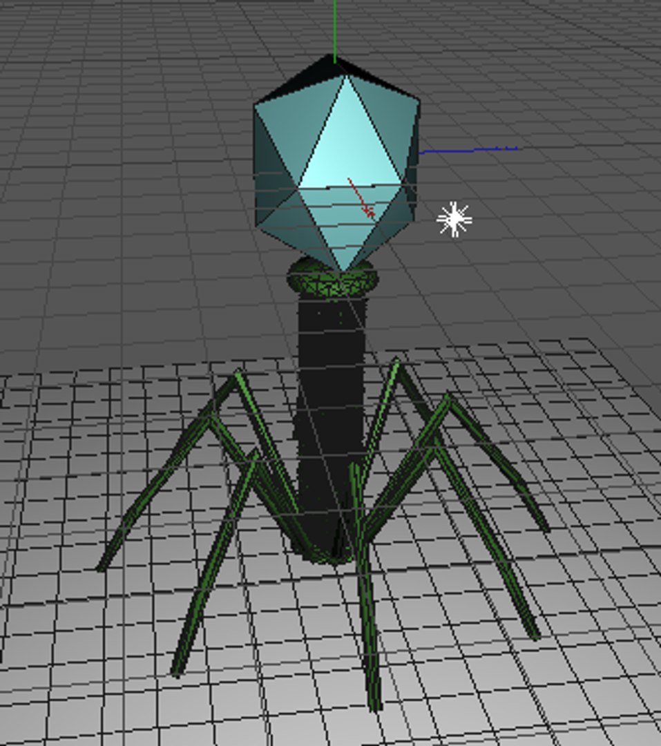 T4 Virus 3d Model