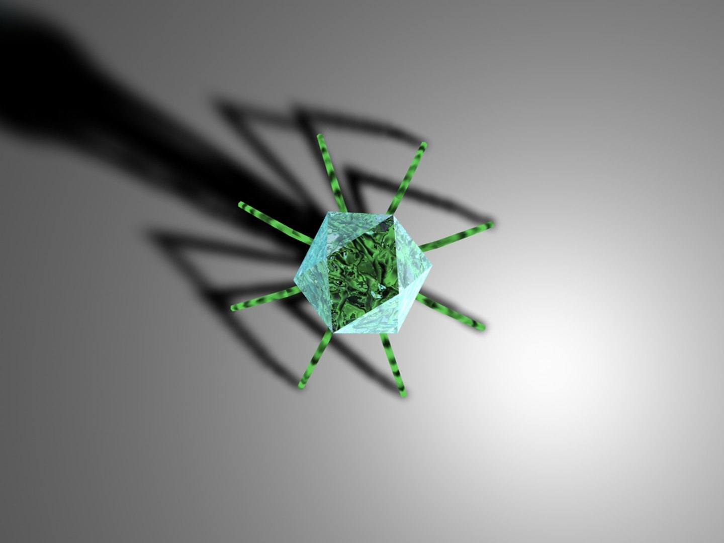 T4 Virus 3d Model