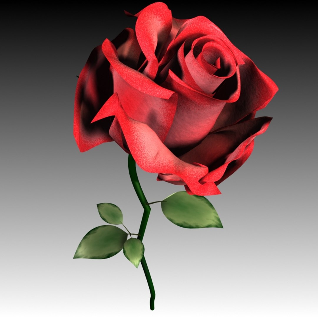 3D Rose Flower Model - TurboSquid 305916