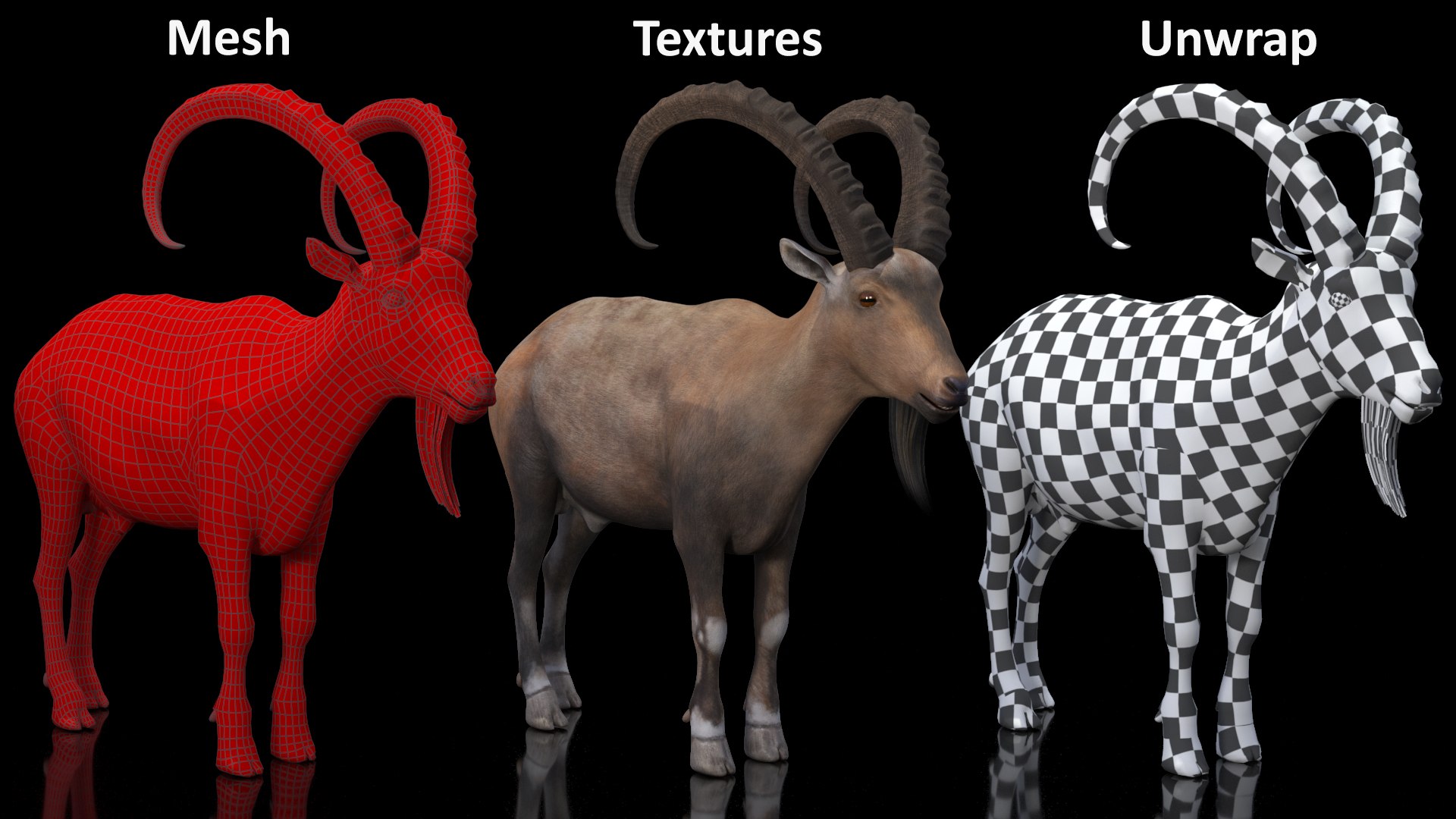 3D Model Alpine Ibex Stand Pose - TurboSquid 2225811