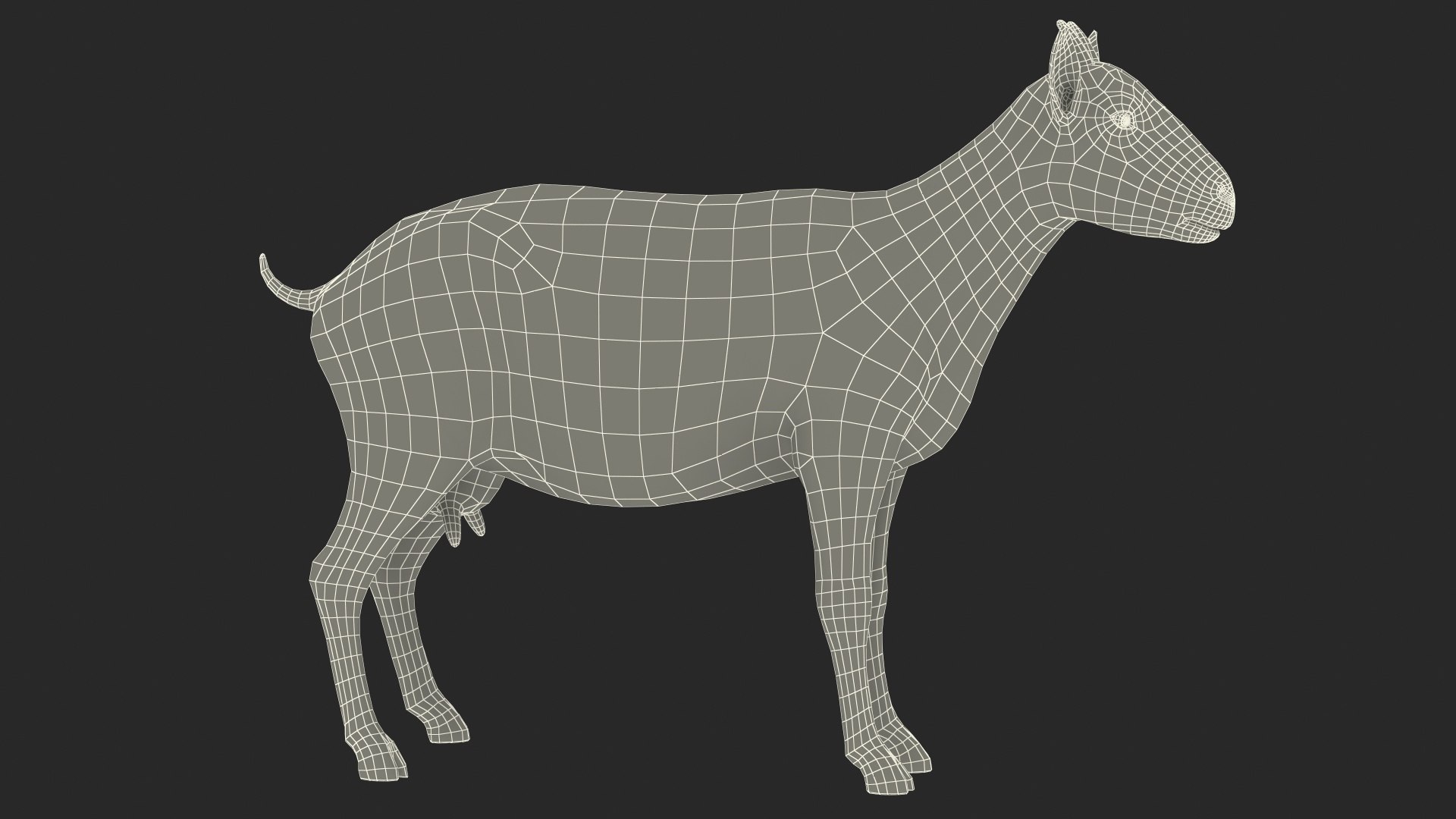 Domestic Goat 3D Model - TurboSquid 1993740