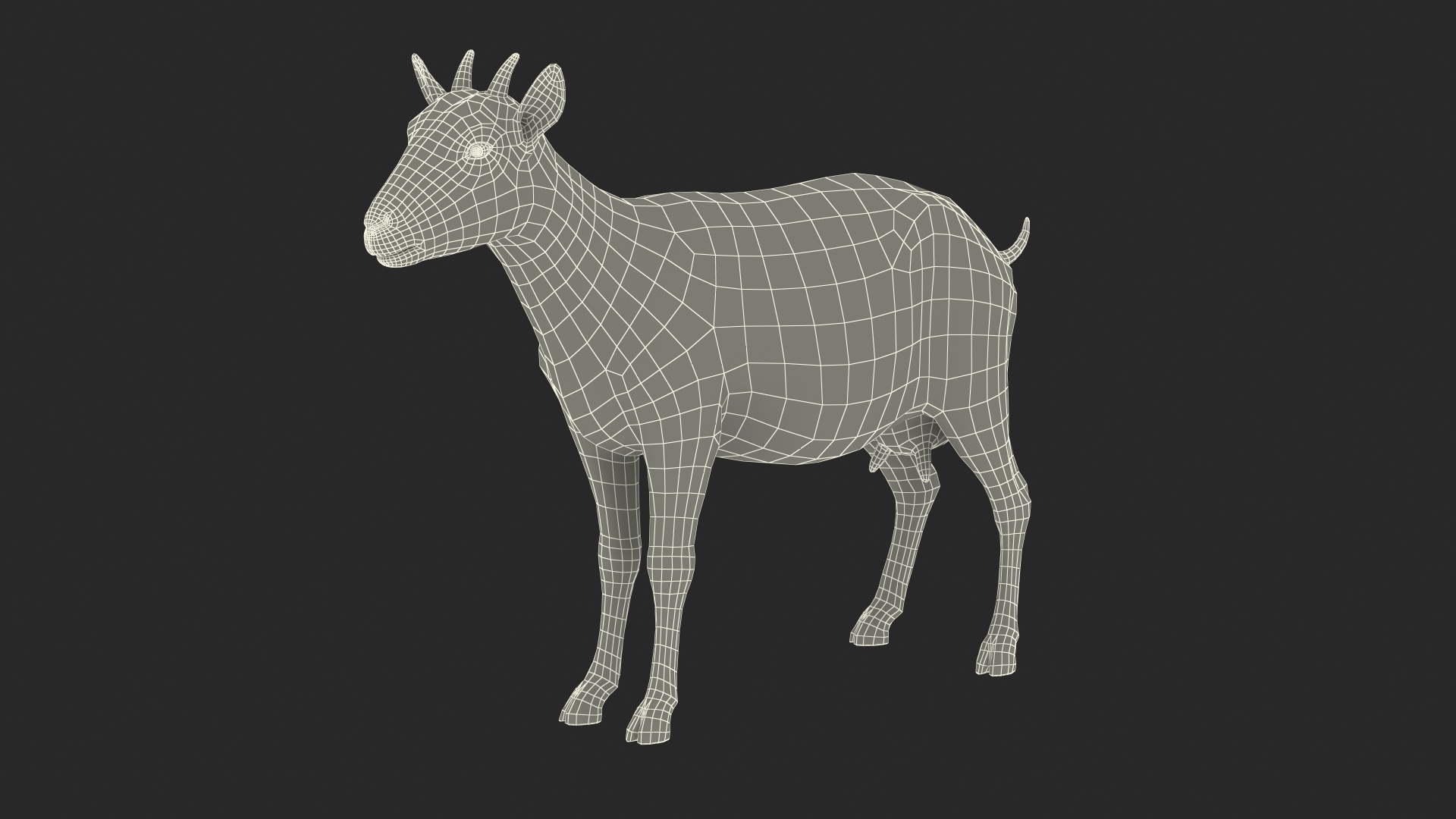Domestic Goat 3D Model - TurboSquid 1993740
