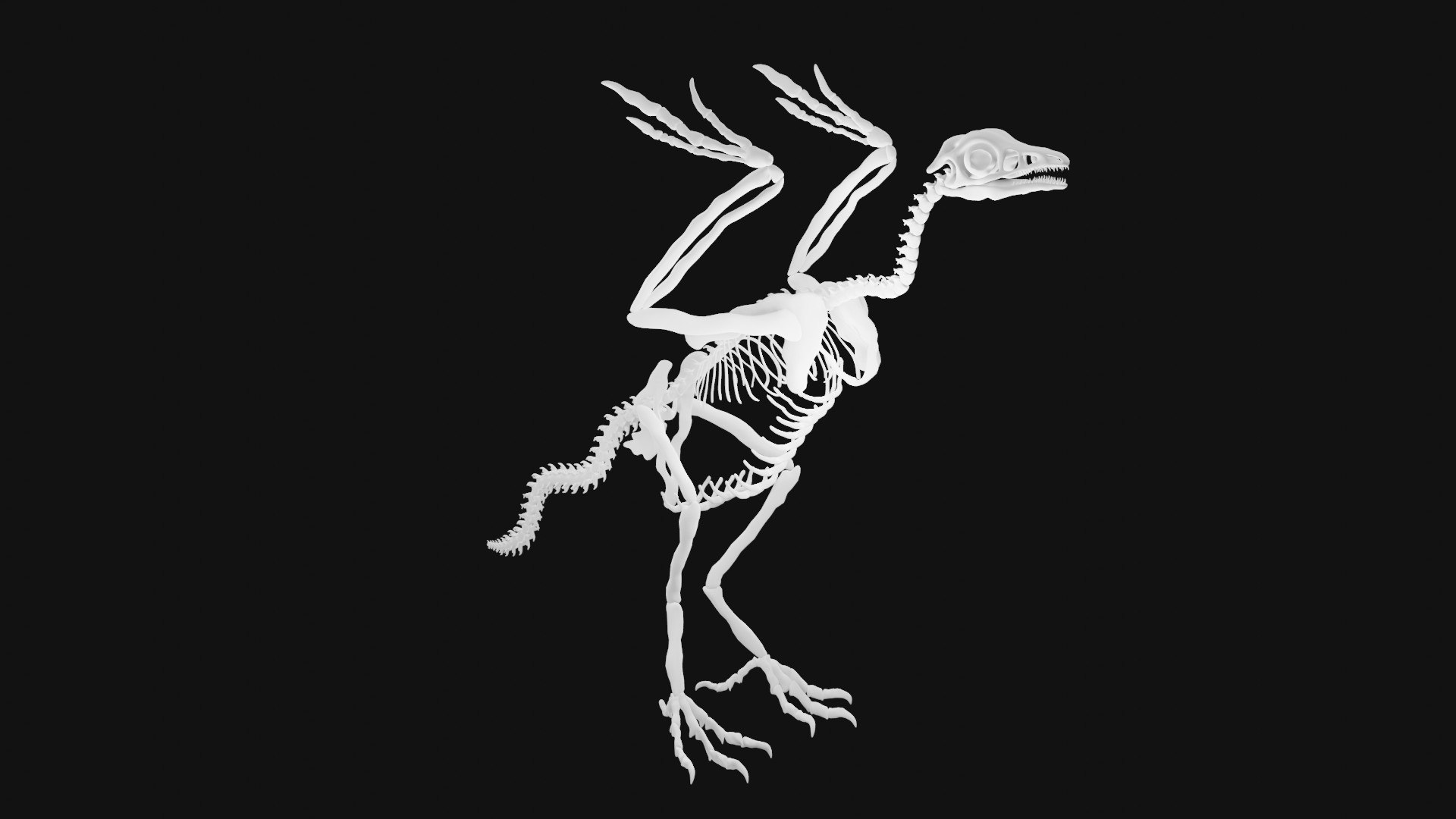 Archaeopteryx Skeleton 3D Model - TurboSquid 1992707