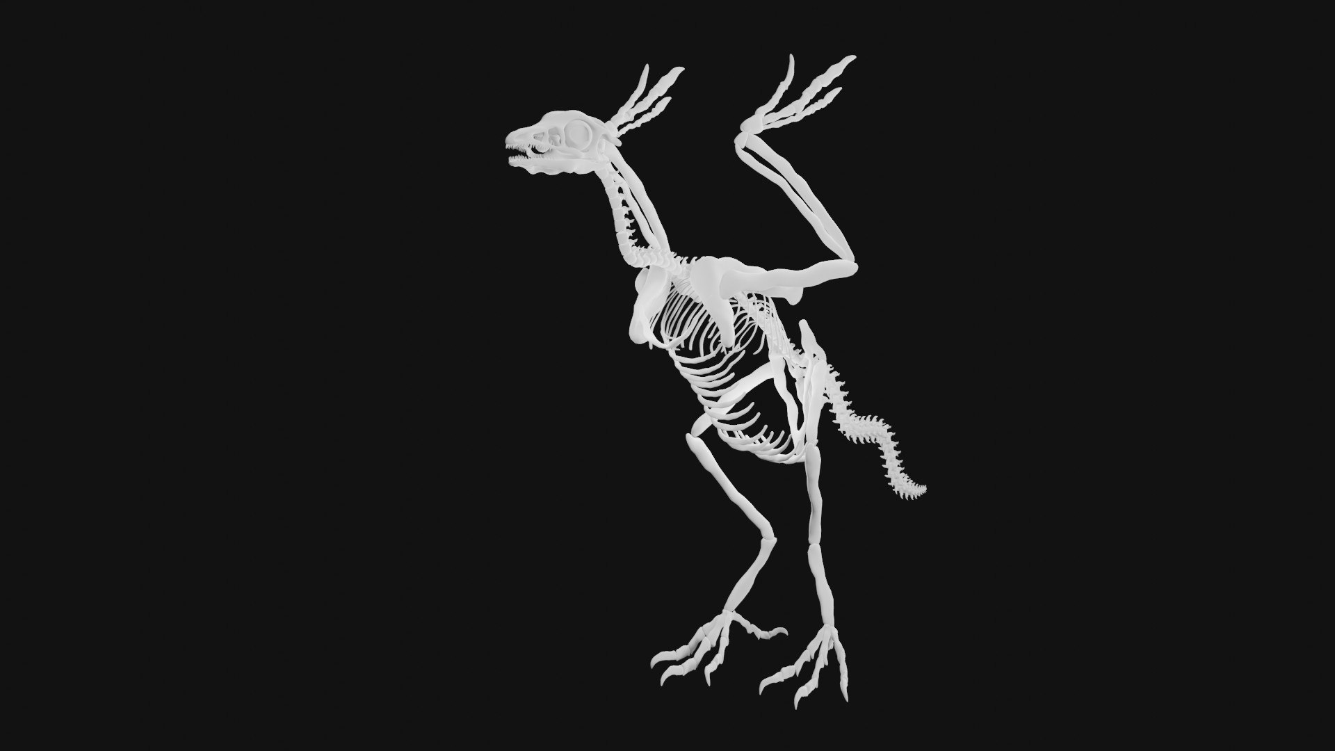 Archaeopteryx Skeleton 3D Model - TurboSquid 1992707