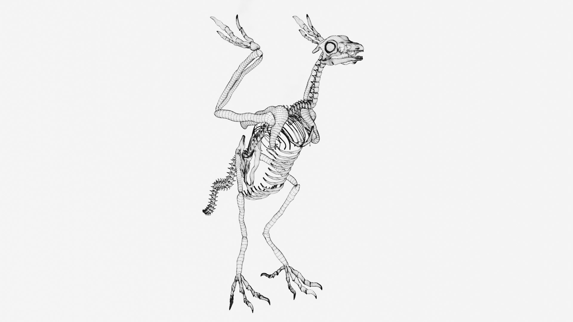 Archaeopteryx Skeleton 3D Model - TurboSquid 1992707
