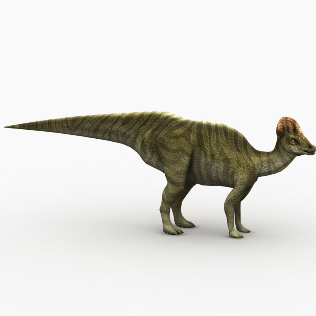 3d Corythosaurus Dinosaur Animation Model