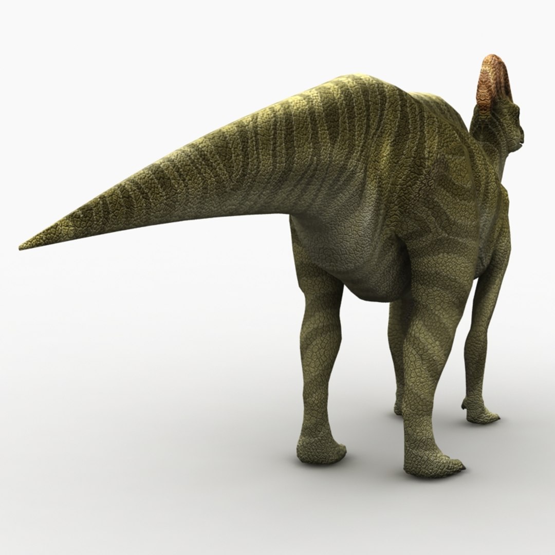 3d Corythosaurus Dinosaur Animation Model