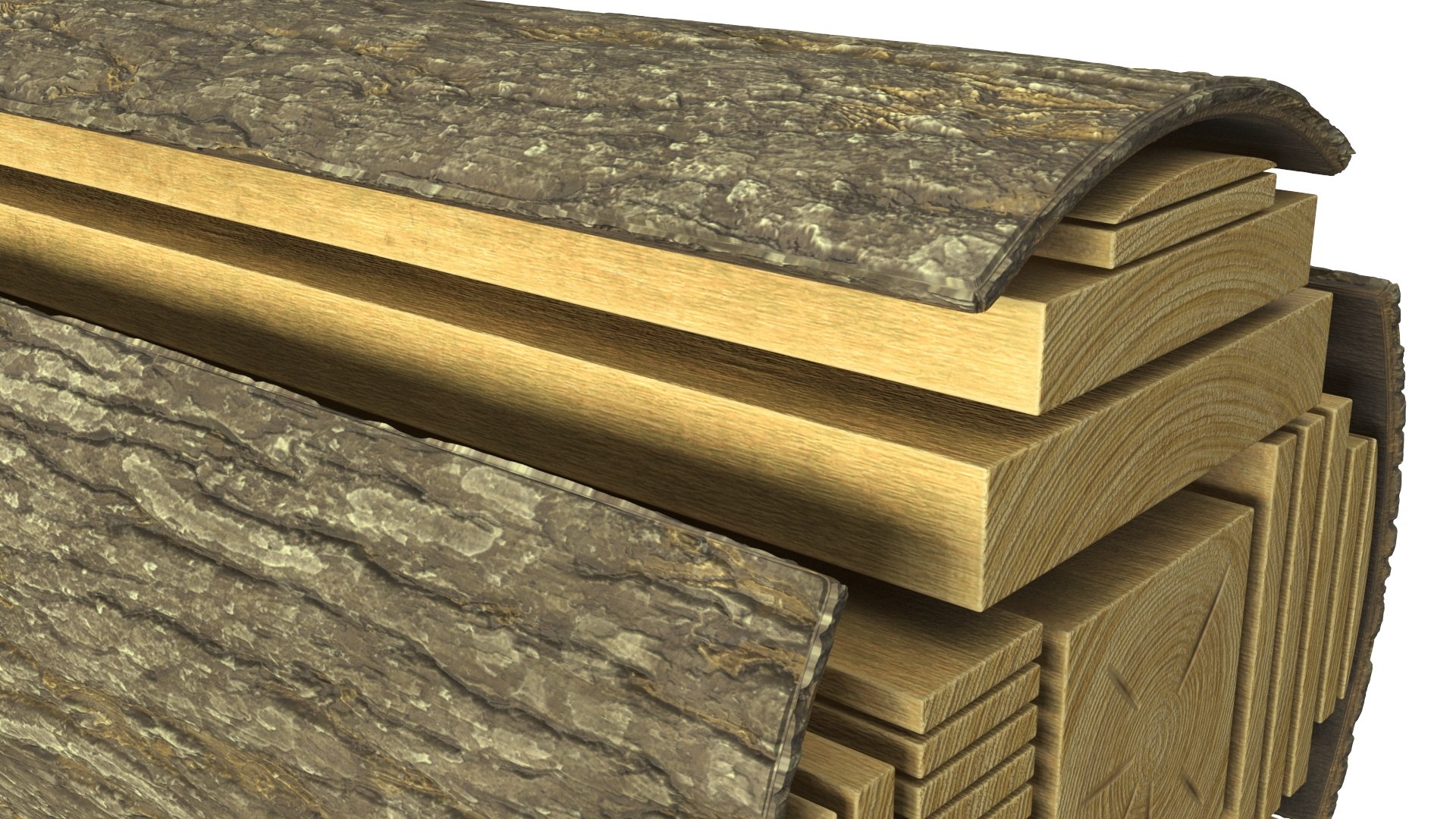 Log Cross Section 3D Model - TurboSquid 2271667