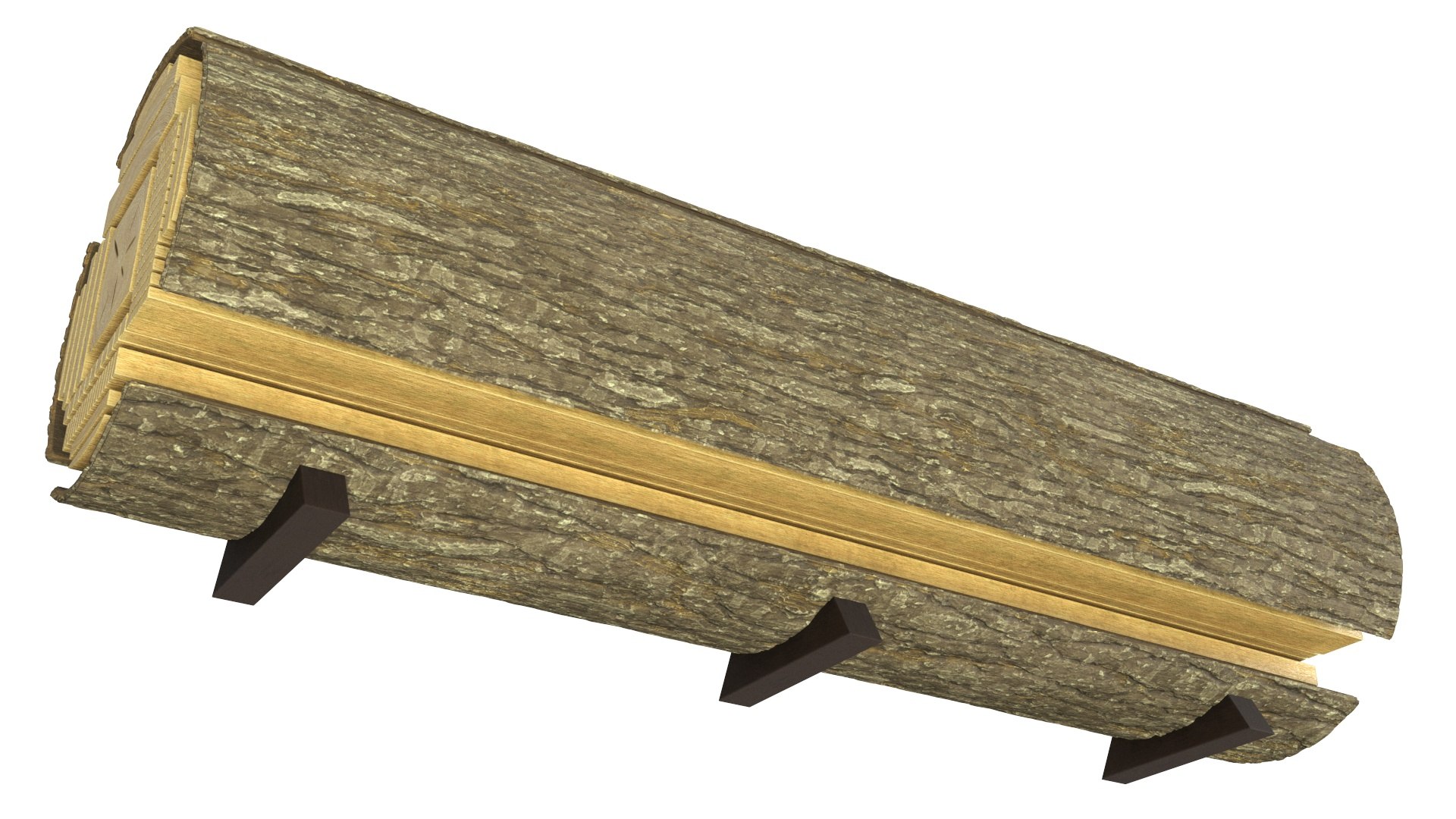 Log Cross Section 3D Model - TurboSquid 2271667