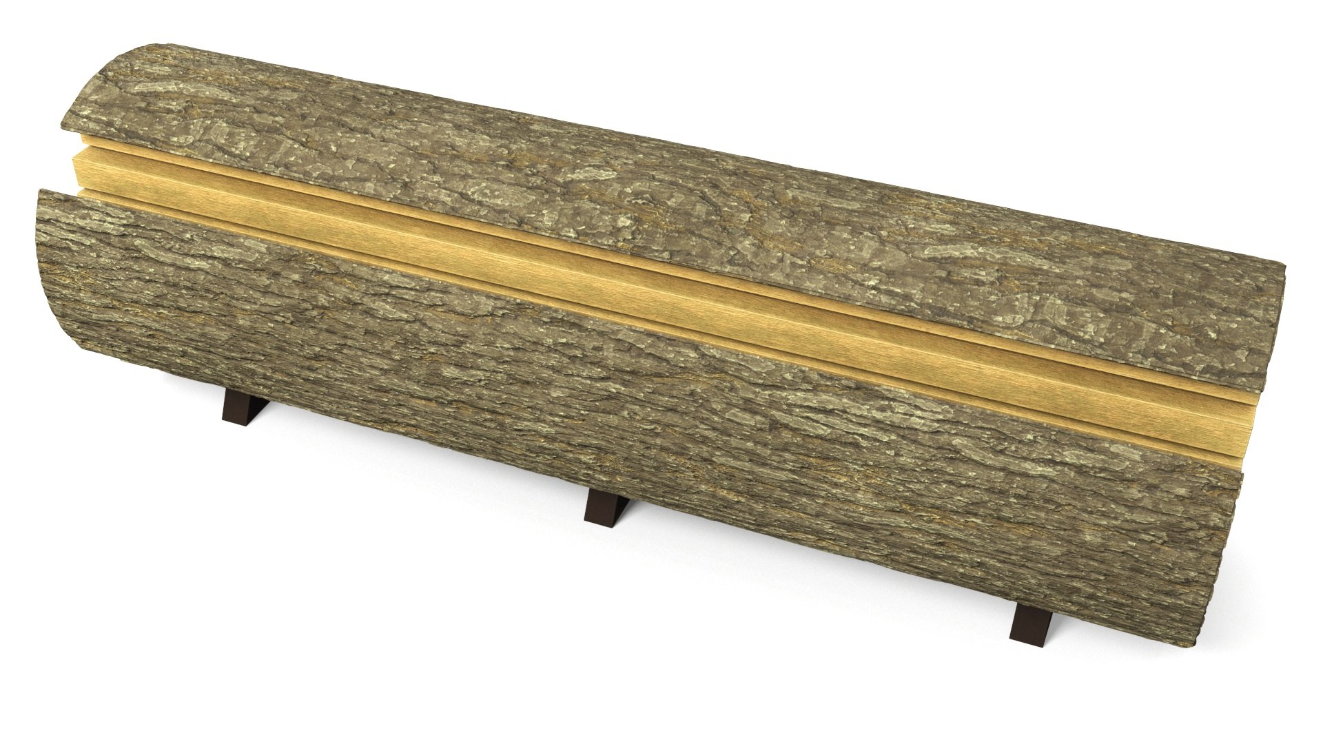 Log Cross Section 3D Model - TurboSquid 2271667