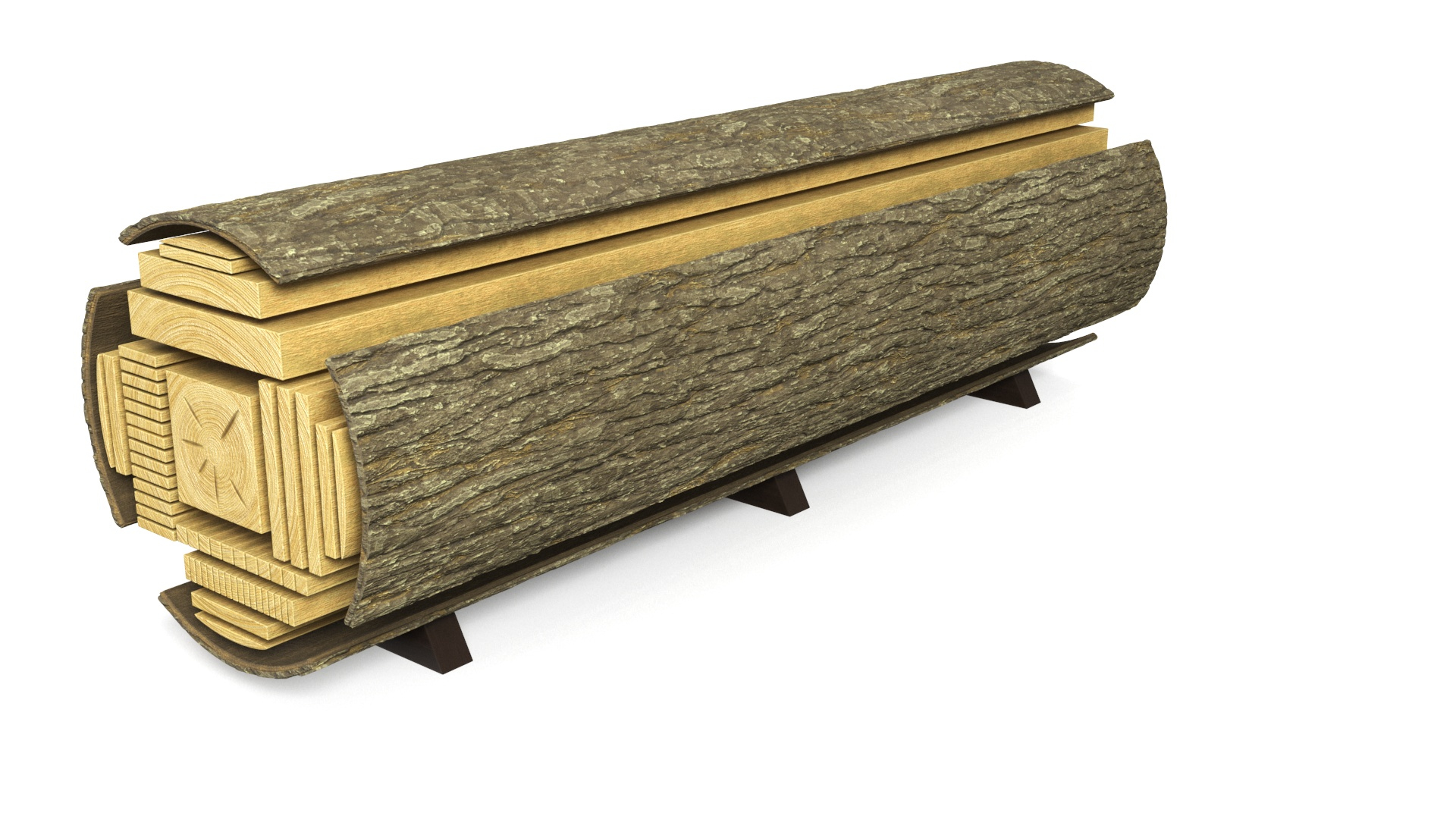 Log Cross Section 3D Model - TurboSquid 2271667