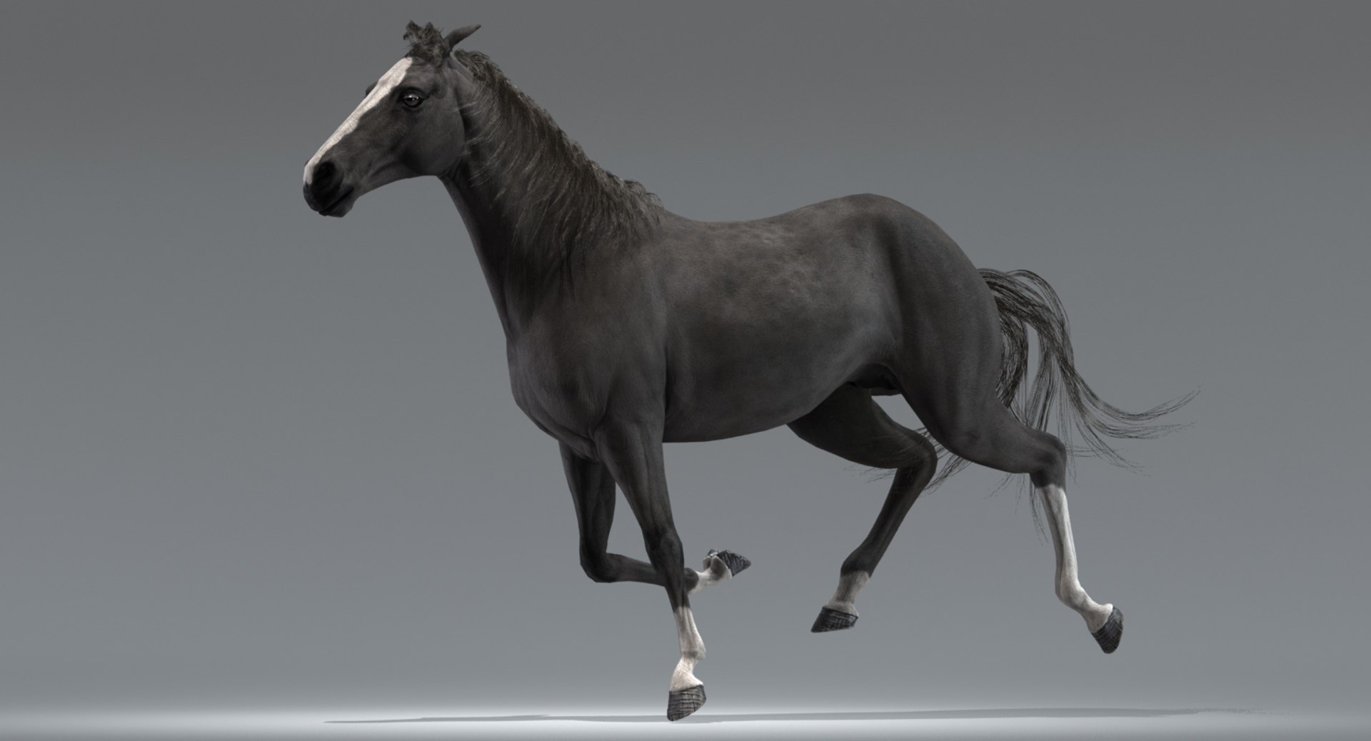 Realistic Horse Animation Model - TurboSquid 1269264