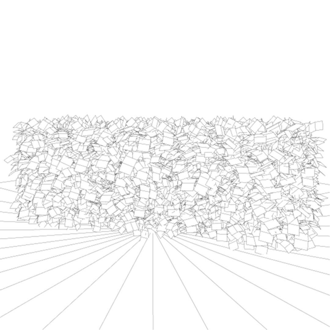 copper beech hedge 3d c4d