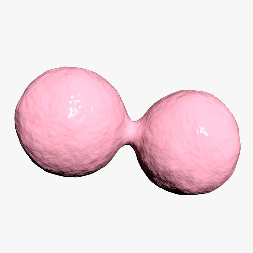 3D model Cell Division Animation - TurboSquid 1934061