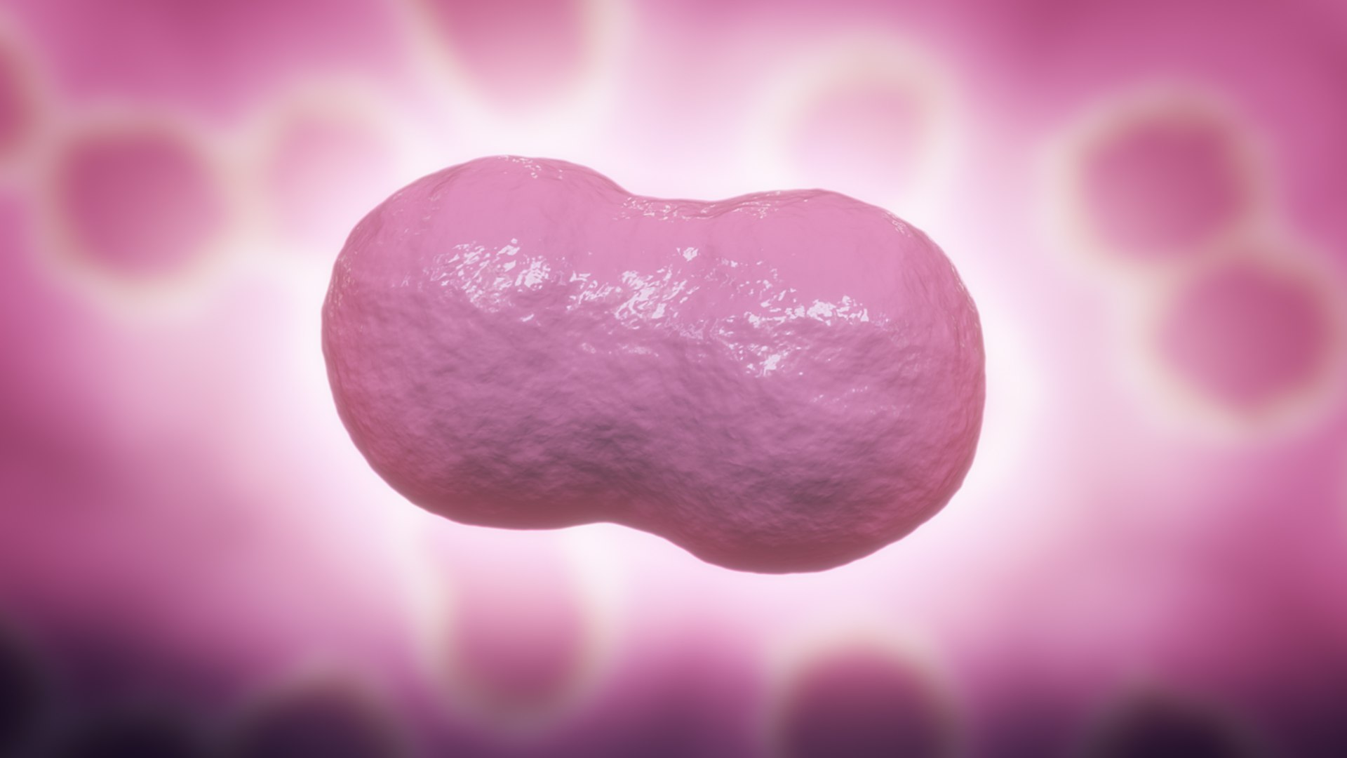 3D Model Cell Division Animation - TurboSquid 1934061