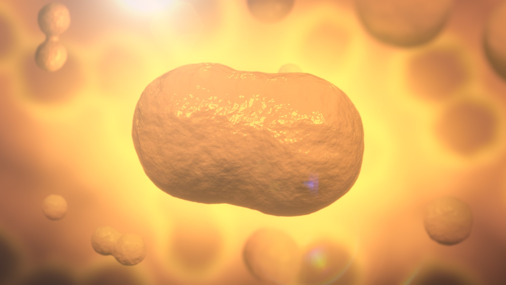 3D Model Cell Division Animation - TurboSquid 1934061