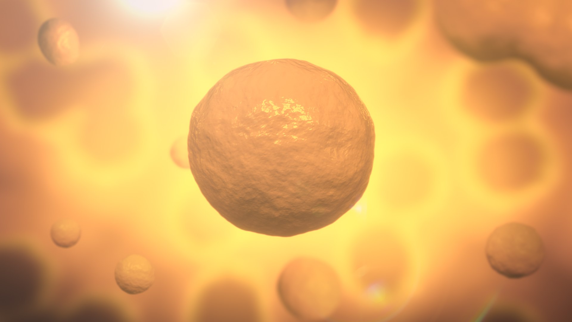 3D Model Cell Division Animation - TurboSquid 1934061