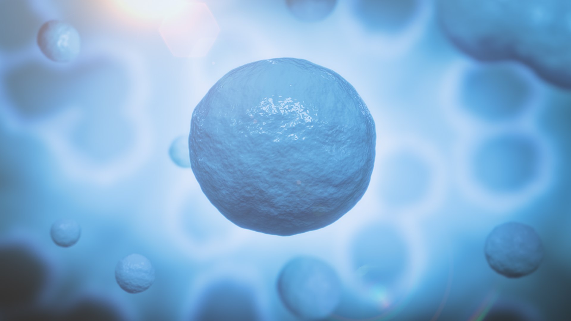 3D Model Cell Division Animation - TurboSquid 1934061