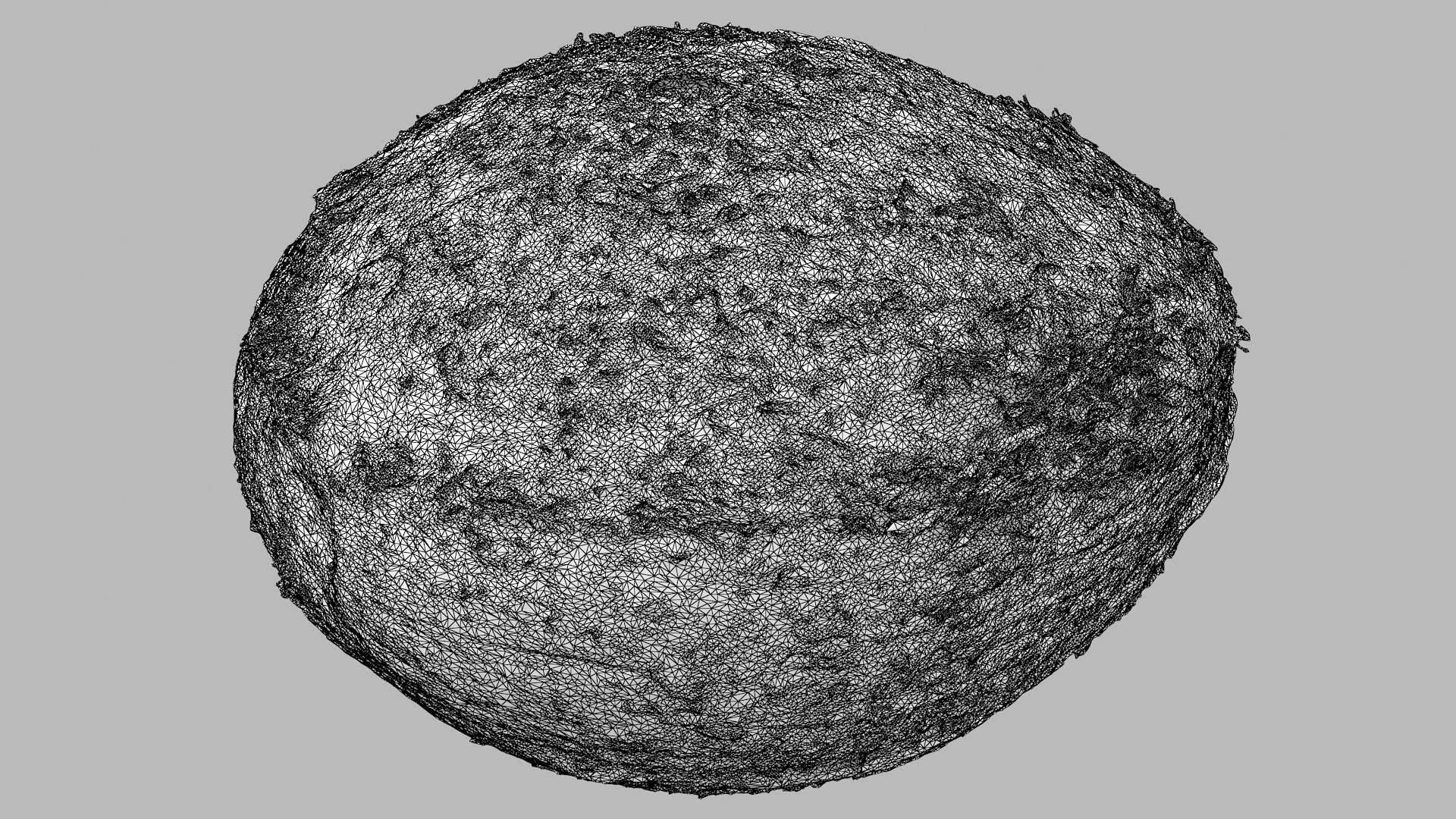 Coconut Pbr 3D Model - TurboSquid 1484654