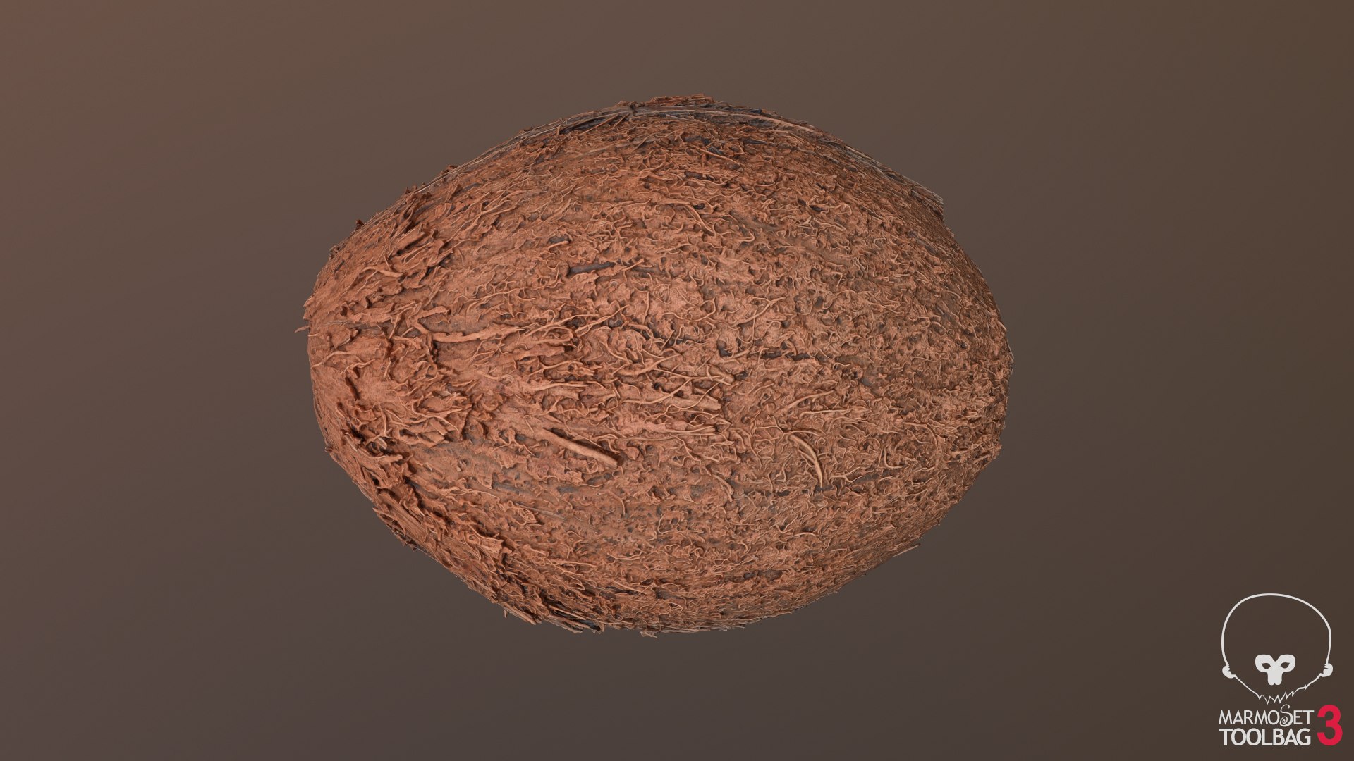 Coconut Pbr 3D Model - TurboSquid 1484654