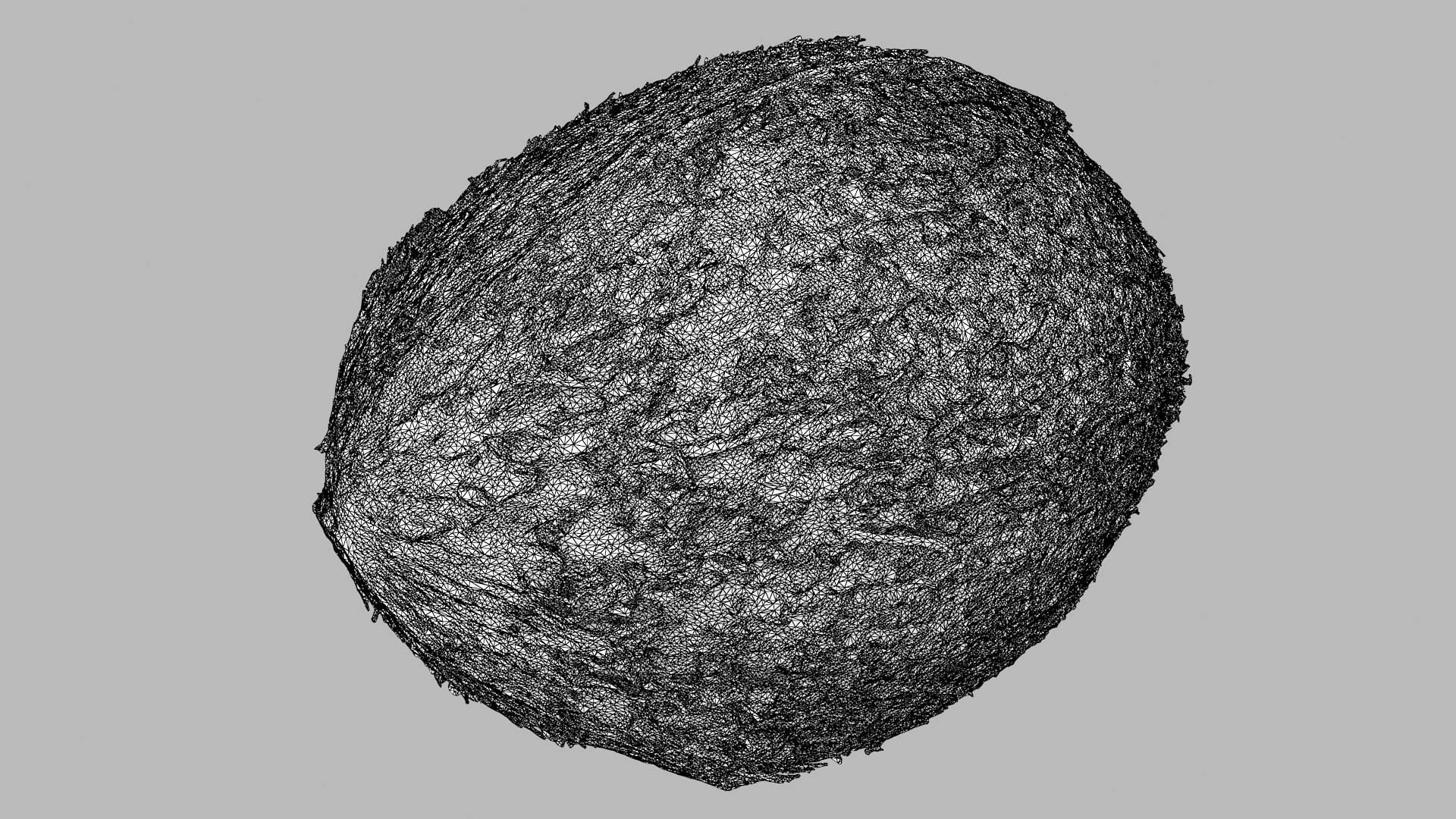 Coconut Pbr 3D Model - TurboSquid 1484654