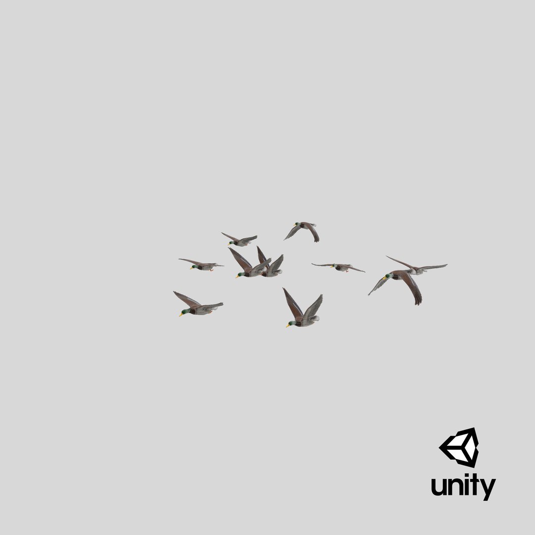 Small flock ducks flying 3D model - TurboSquid 1312001