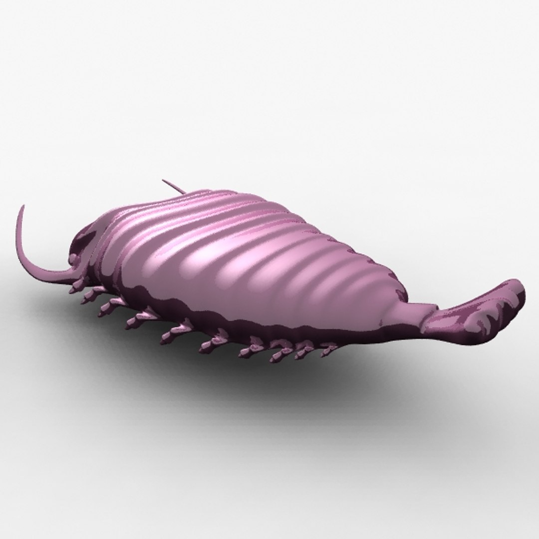 3d Ma Animals Cambrian