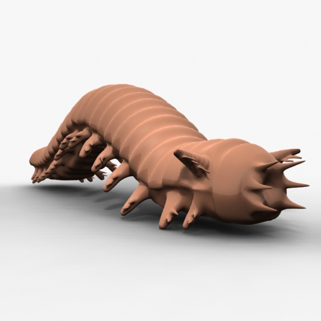 3d Ma Animals Cambrian
