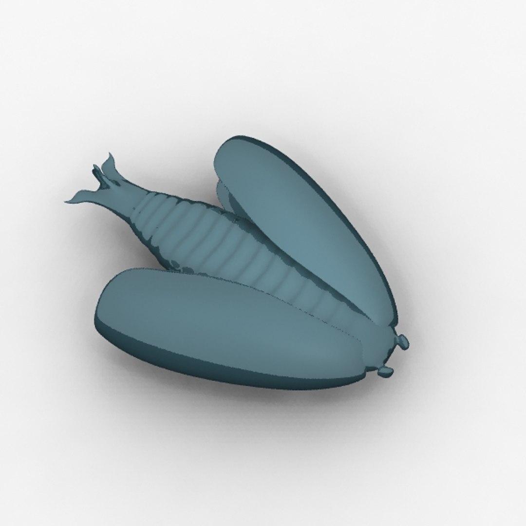 3d Ma Animals Cambrian