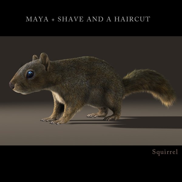squirrel fur 3d model
