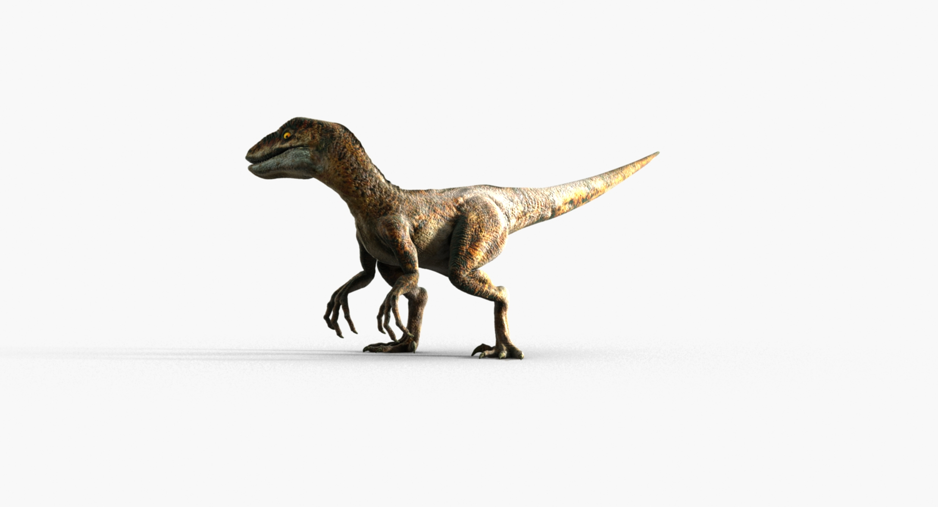 3D Velociraptor Dinosaur Model - TurboSquid 1293986