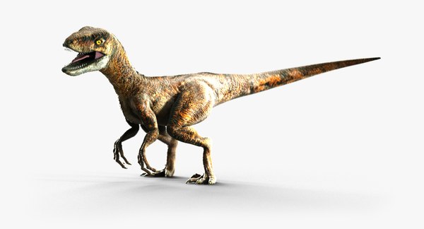 Raptor 3D Models for Download | TurboSquid