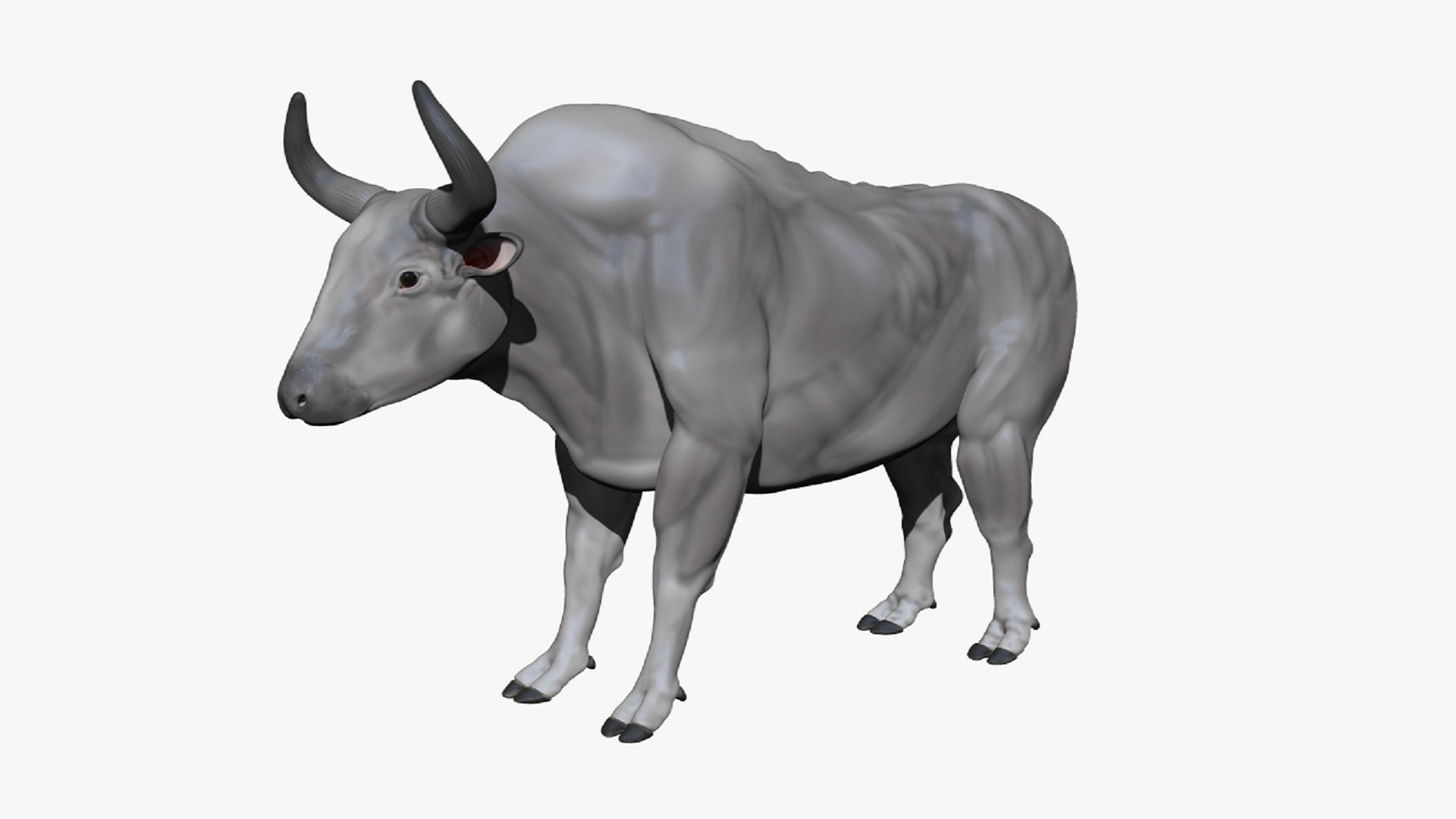 Bull3D模型 - TurboSquid 1884297