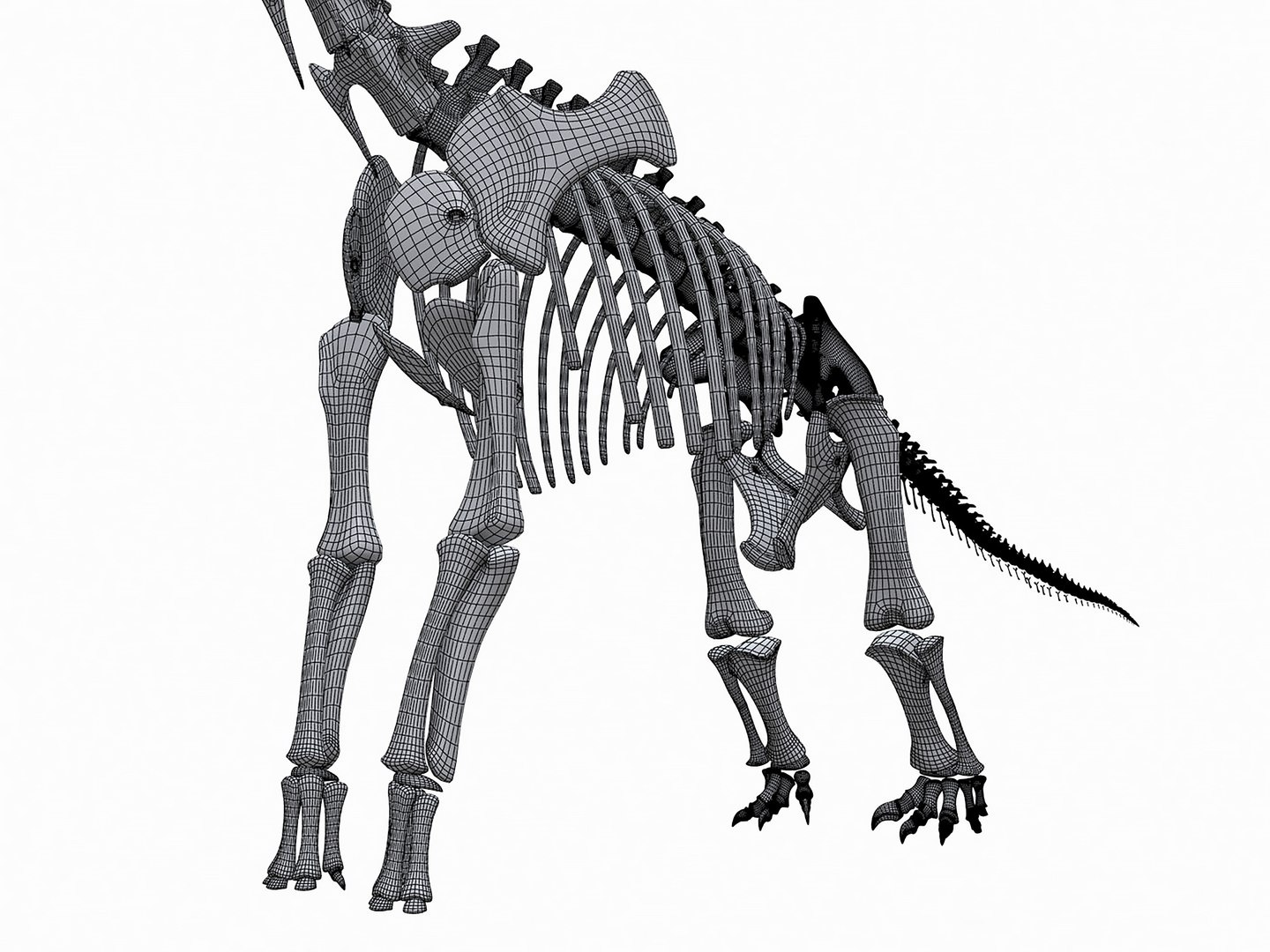 Brachiosaurus Skeleton 3D Model - TurboSquid 1228817