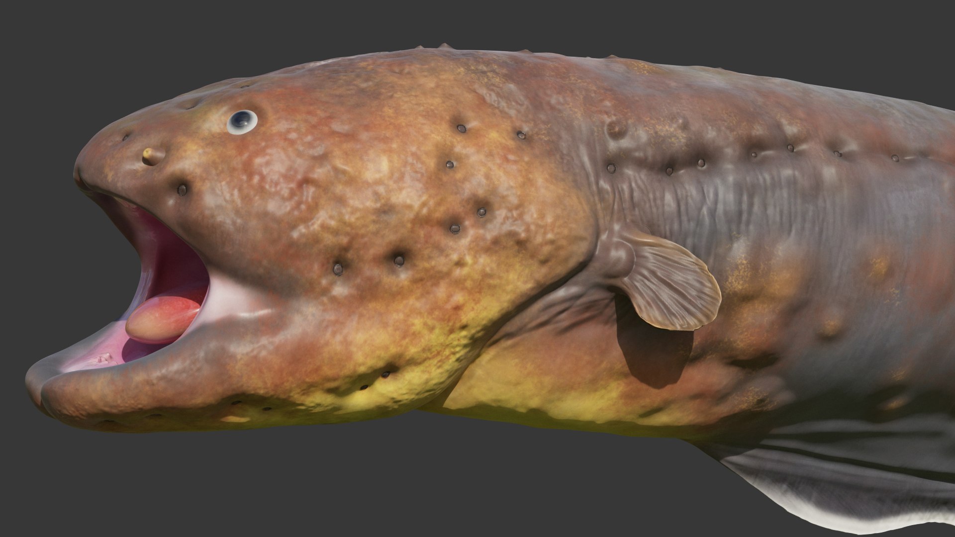 3D electric eel attack pose model - TurboSquid 1486281