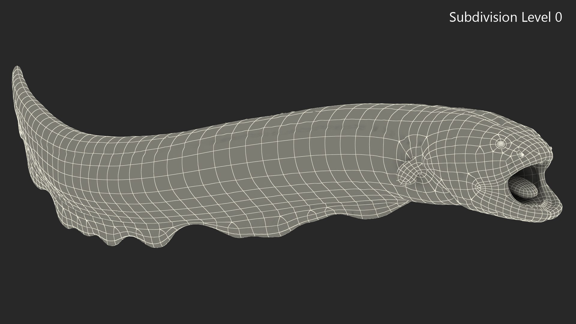 3D Electric Eel Attack Pose Model - TurboSquid 1486281