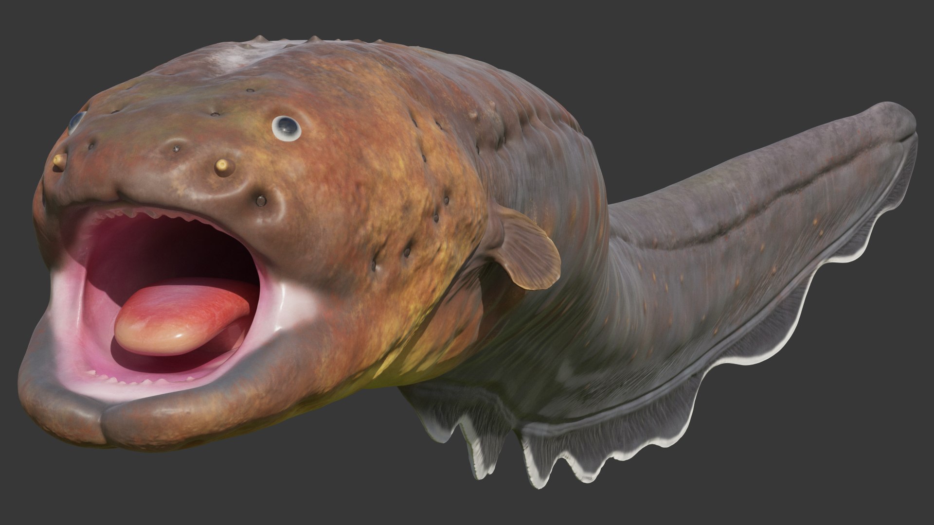 3D Electric Eel Attack Pose Model - TurboSquid 1486281