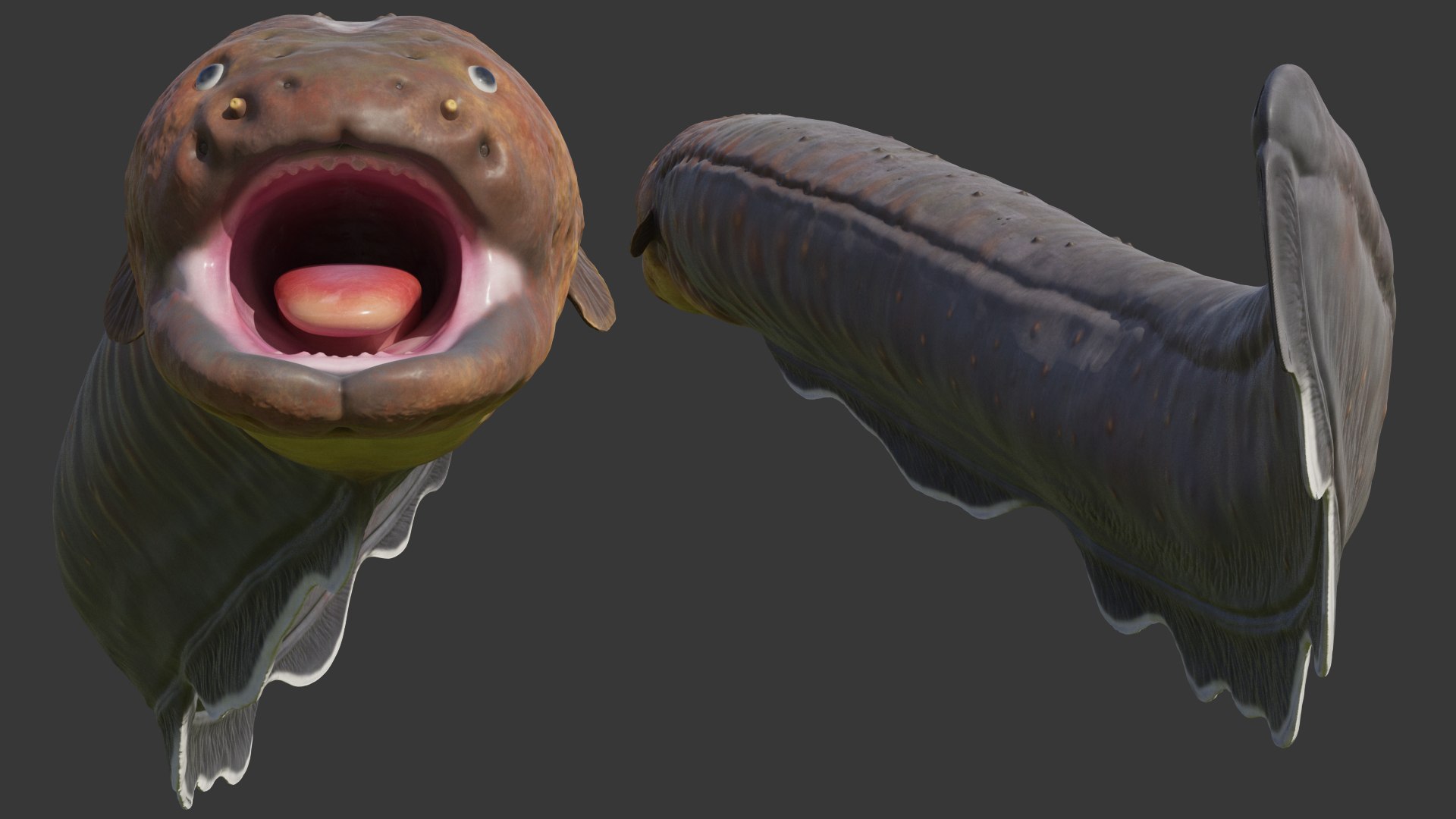 3D electric eel attack pose model - TurboSquid 1486281