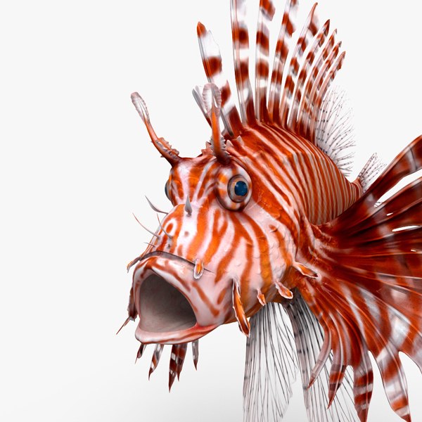 Lionfish HD 3D 모델 - TurboSquid 1567551