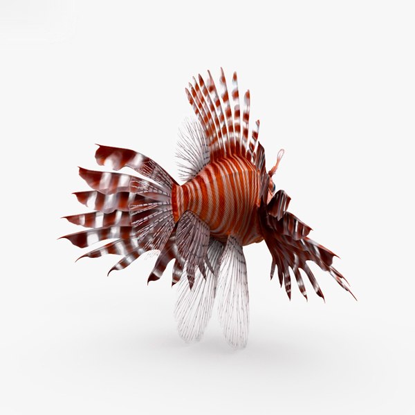Lionfish HD 3D 모델 - TurboSquid 1567551