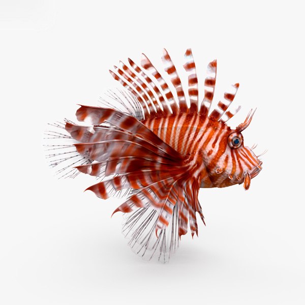 Lionfish HD 3D 모델 - TurboSquid 1567551