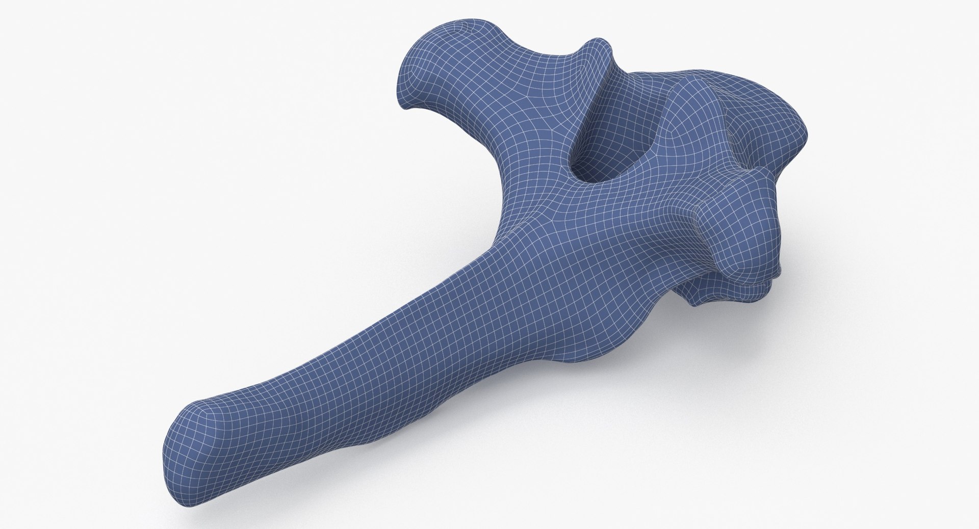 3D Bear Ursus Thoracic Vertebrae T3 - TurboSquid 2127911