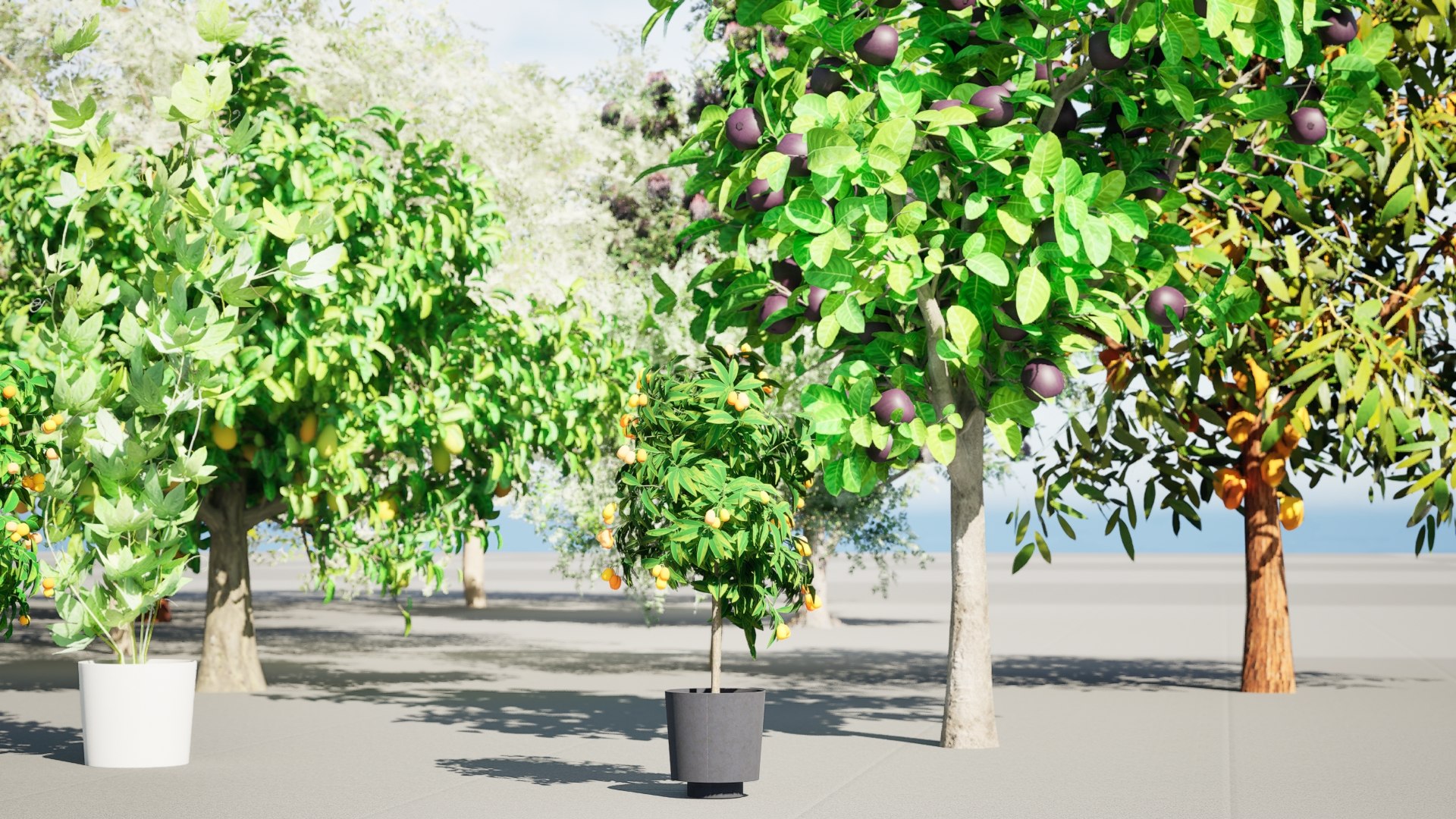 3D Game-Ready Fruit Tree Asset Pack Model - TurboSquid 2331465