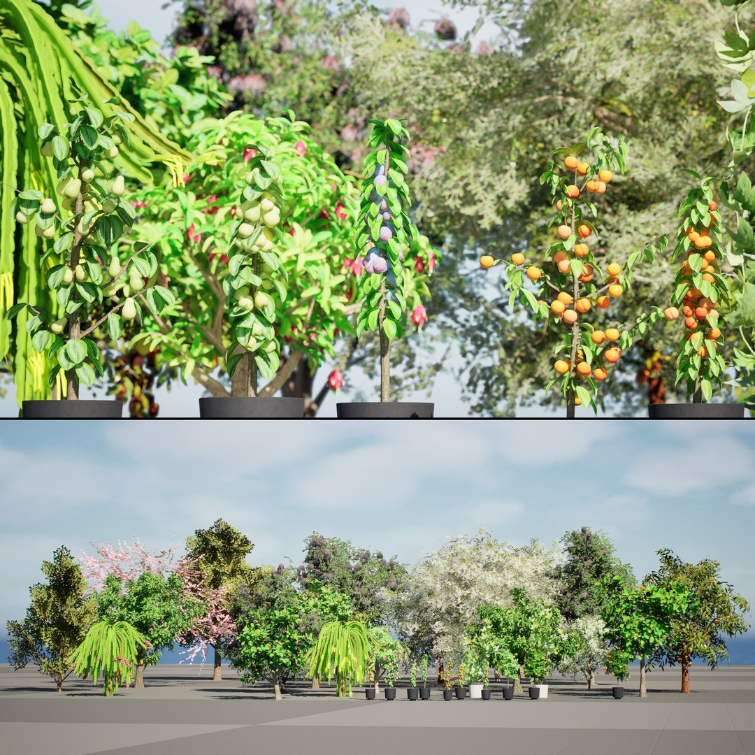 3D Game-Ready Fruit Tree Asset Pack Model - TurboSquid 2331465