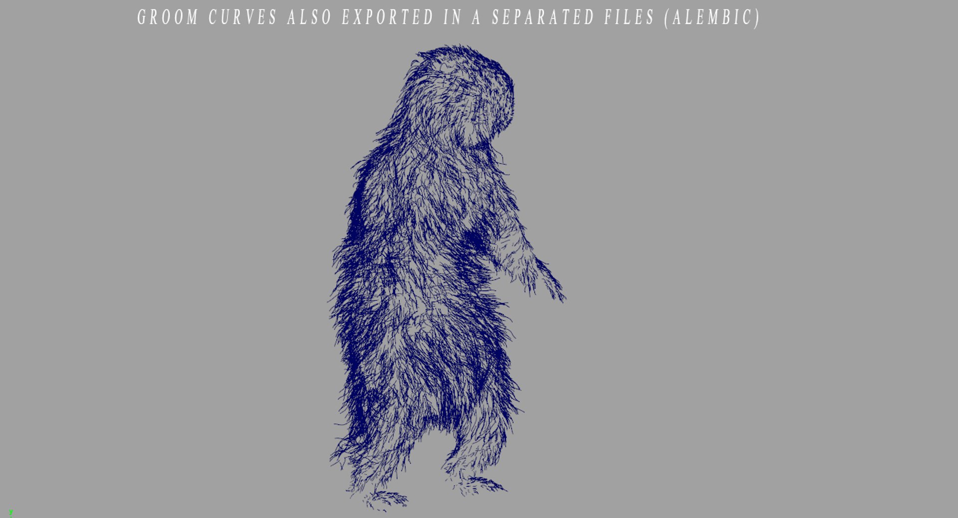 Marmot Rigged 3D - TurboSquid 1457832